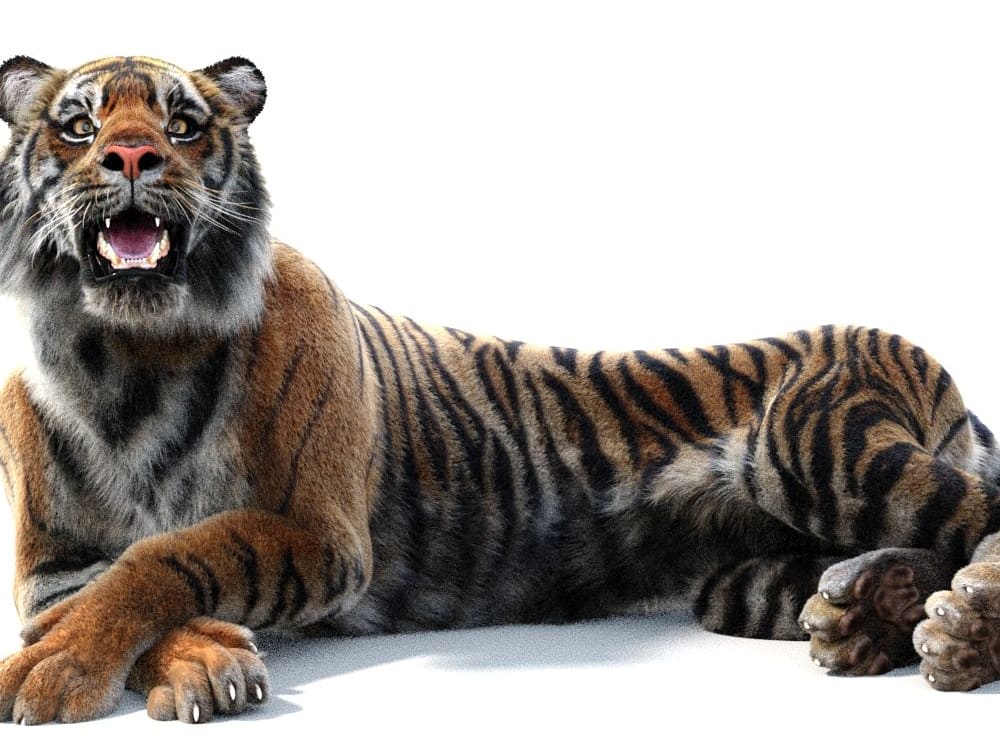 Cute 3d character modeling, animal, chibi, people, cartoon model | Upwork