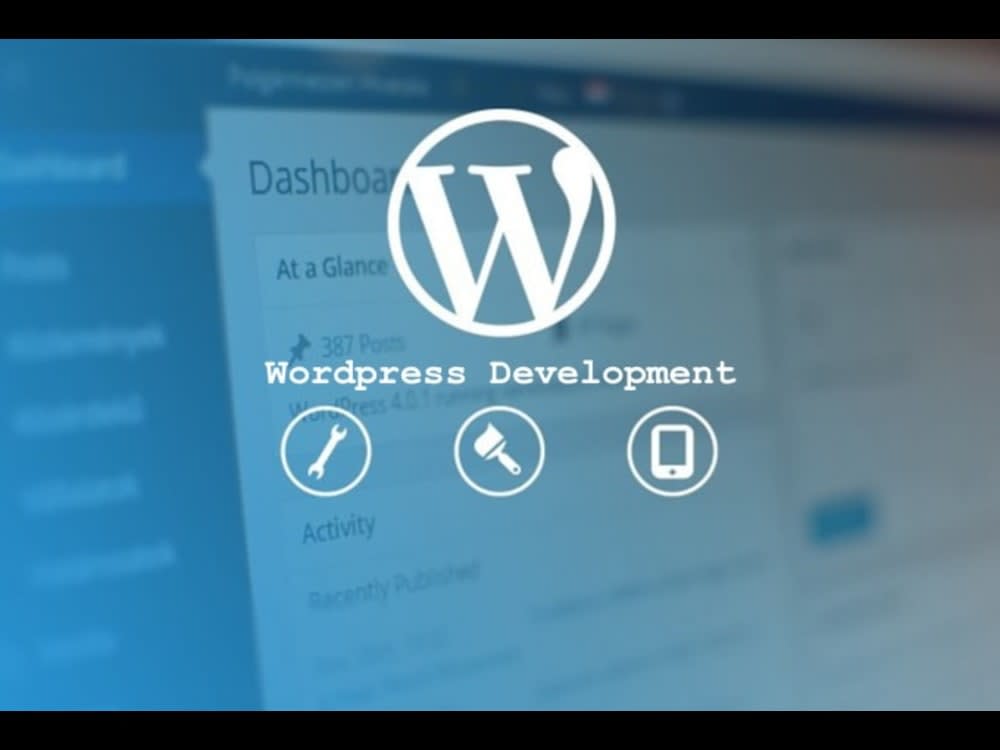 A full-stack web developer, E-commerce, Woo-commerce, Shopify | Upwork