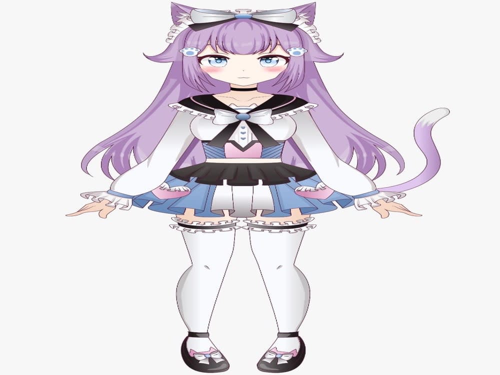 2d Vtuber model and Live 2d Vtuber rigging (full and half body) | Upwork