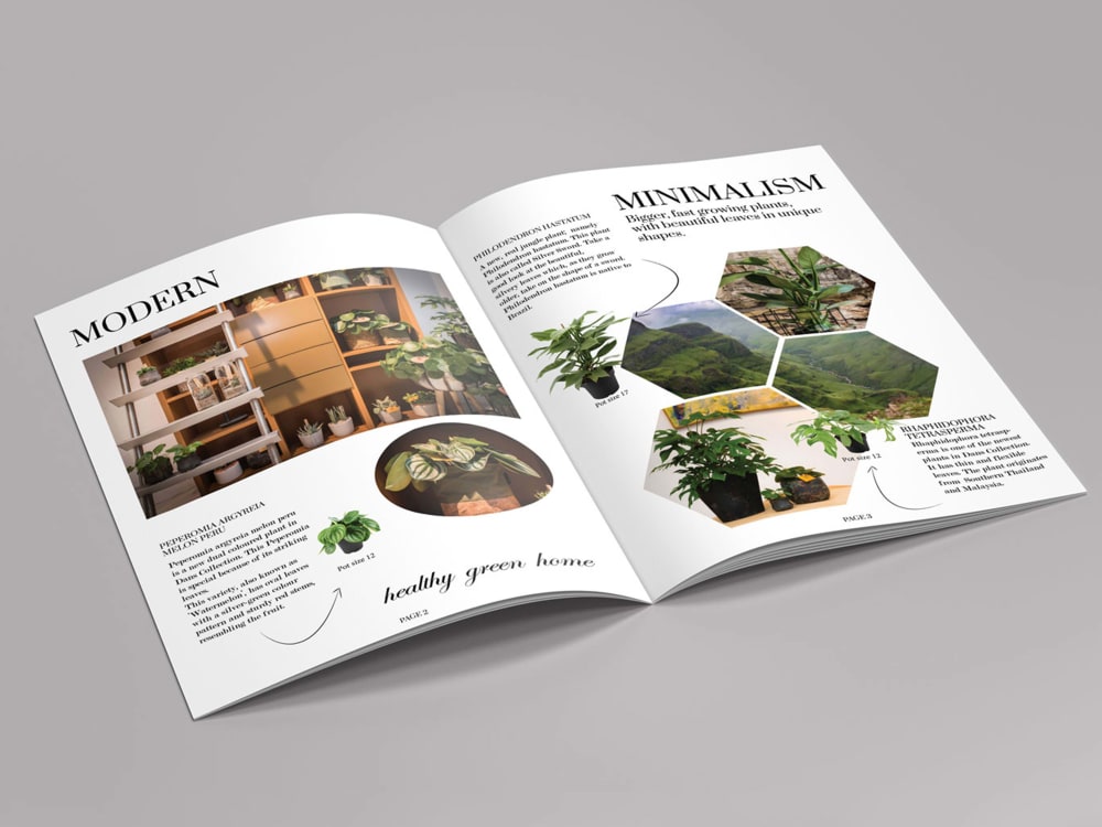 A professional product catalog, catalog design by adobe InDesign | Upwork