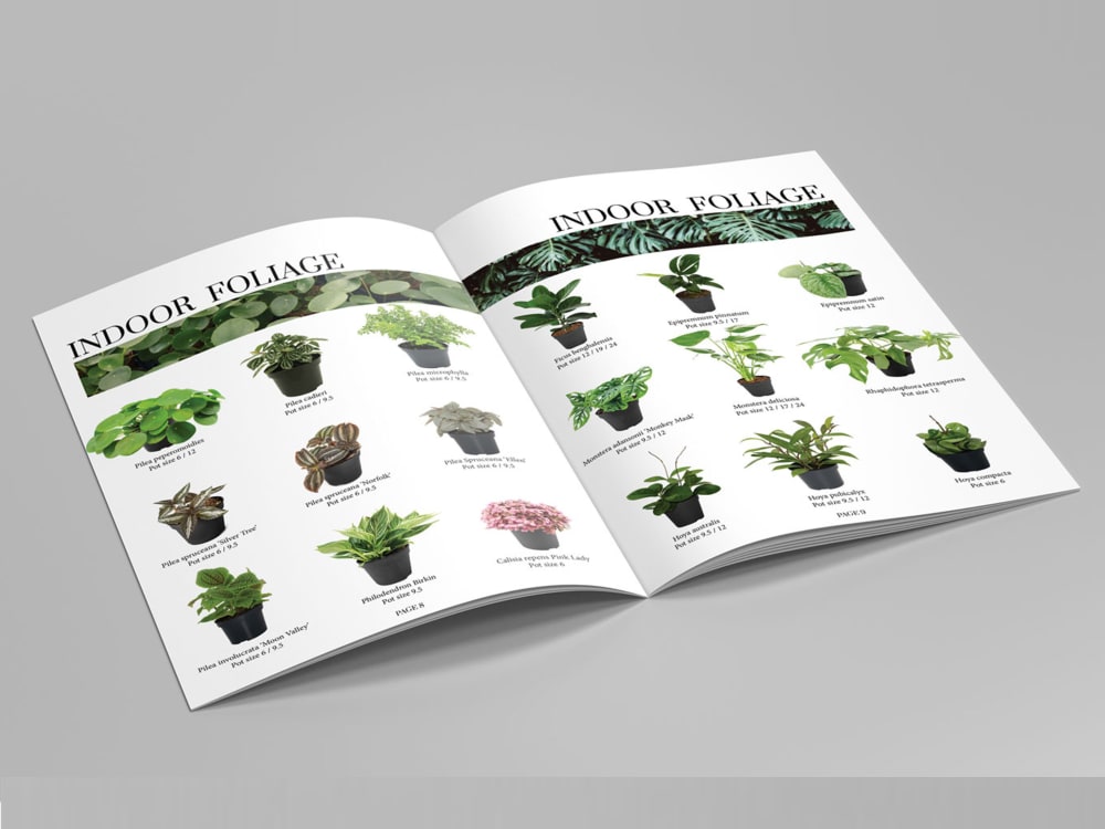 A professional product catalog, catalog design by adobe InDesign | Upwork