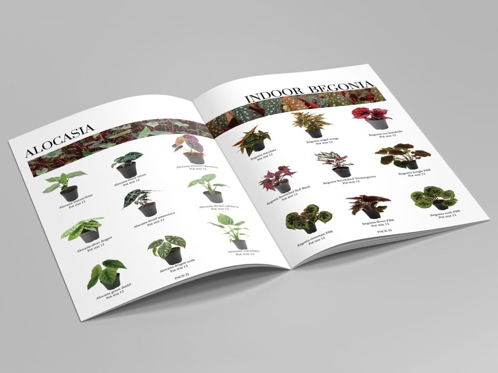 A professional product catalog, catalog design by adobe InDesign | Upwork