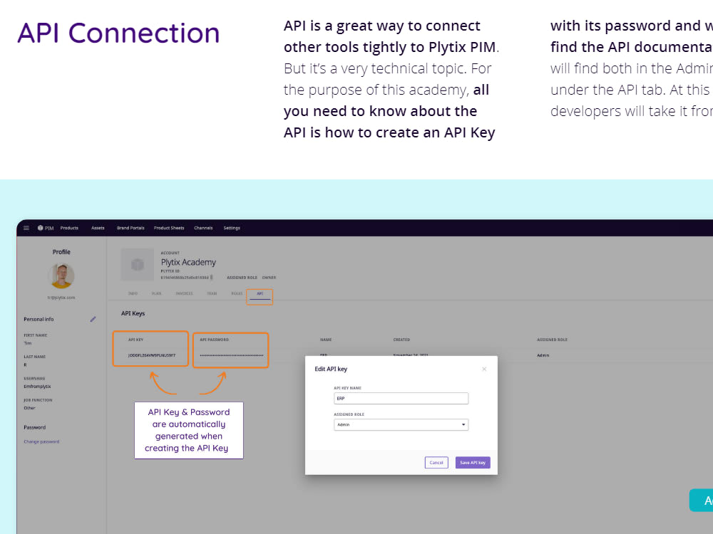 A fully functional PIM Implementation based on your needs | Upwork