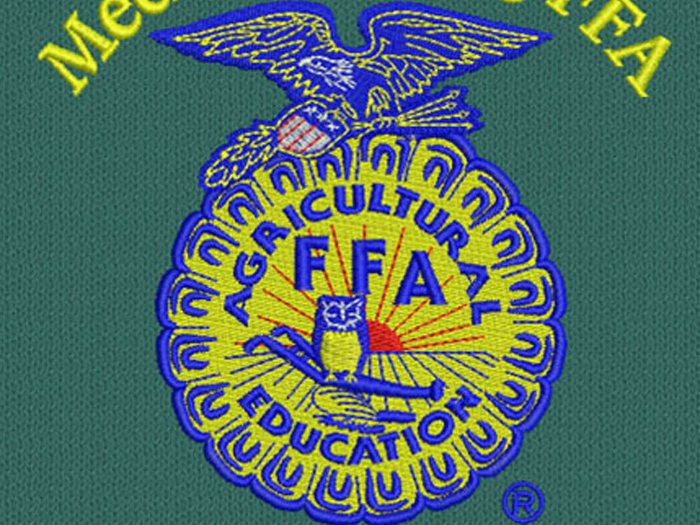 A manual embroidery digitizing file any format | Upwork