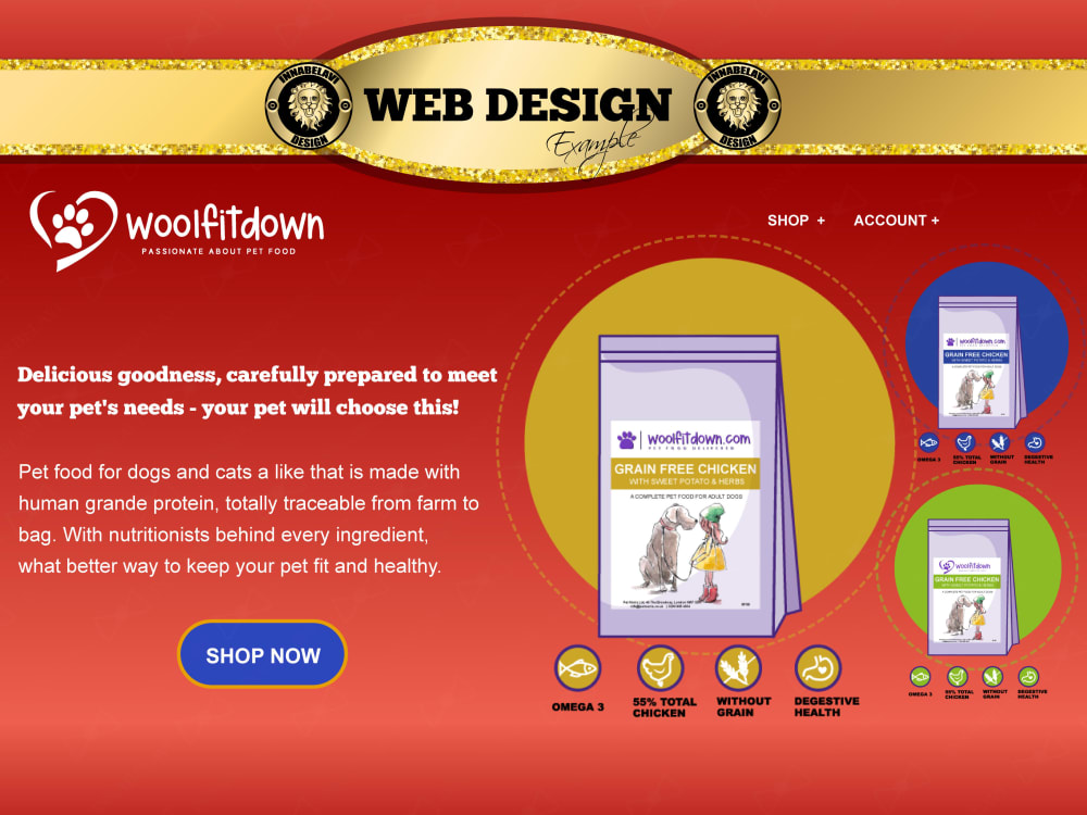 A professional, beautiful and functional web design. | Upwork