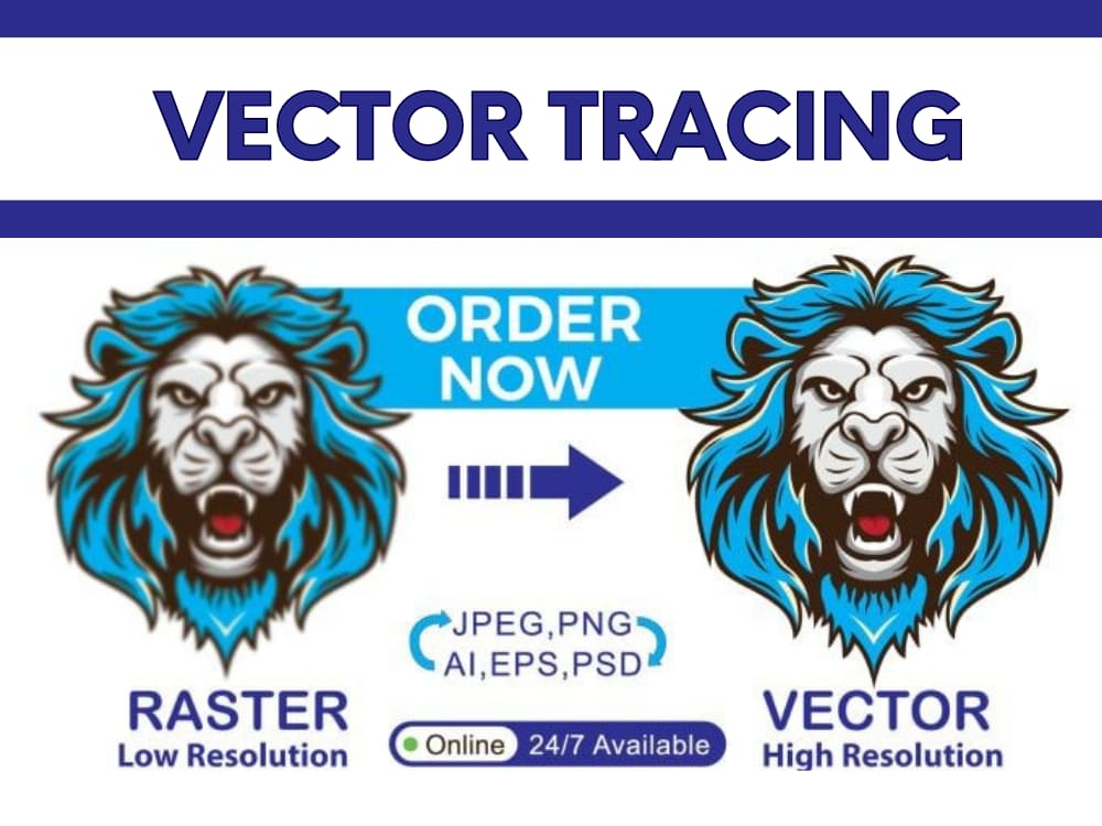 Manual vector tracing png to a vector file or recreating any logo or image | Upwork