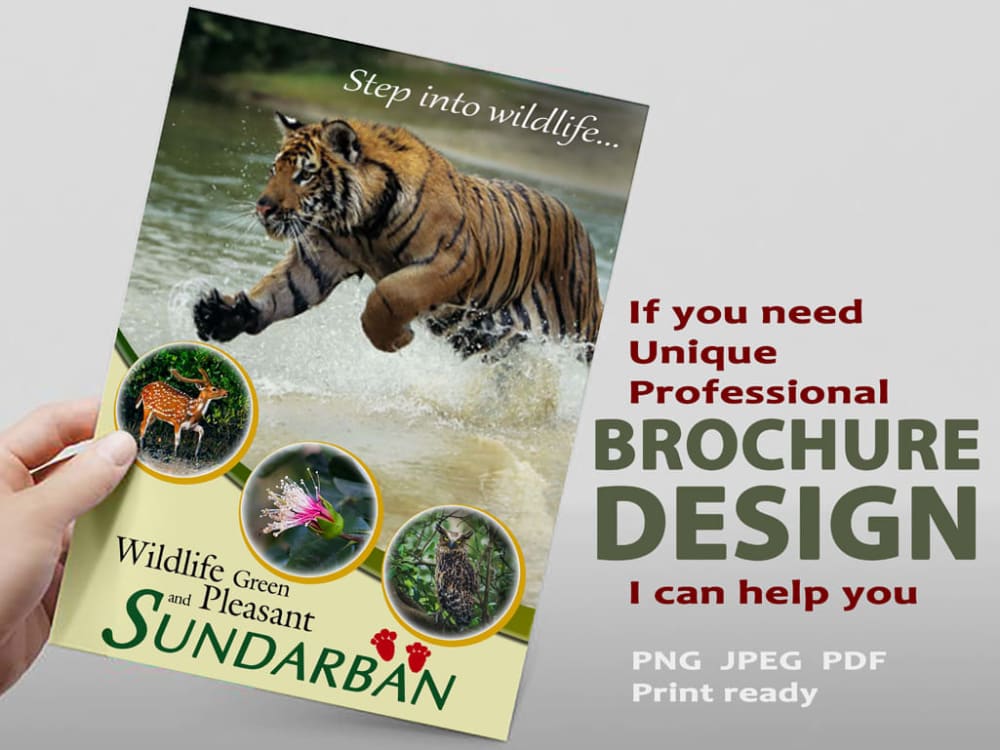 Unique professional flyer, brochures, catalogues, booklet, and leaflets ...