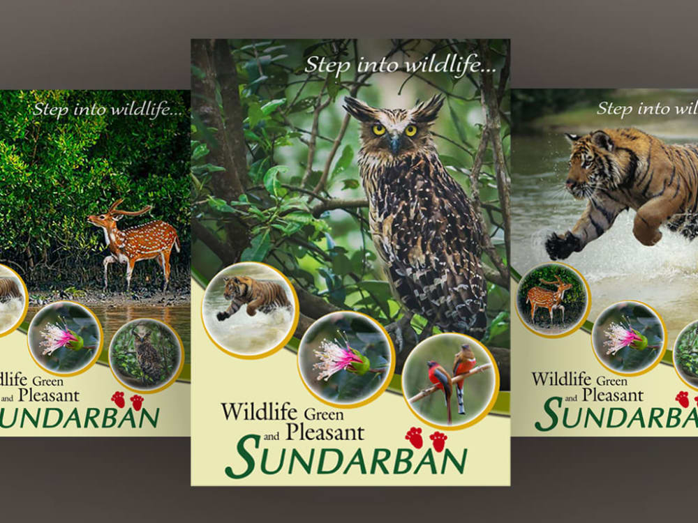 Unique professional flyer, brochures, catalogues, booklet, and leaflets ...