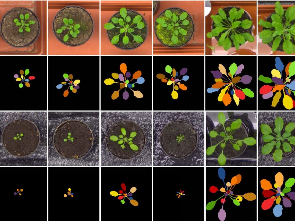 Your images and videos annotated to train your AI models | Upwork