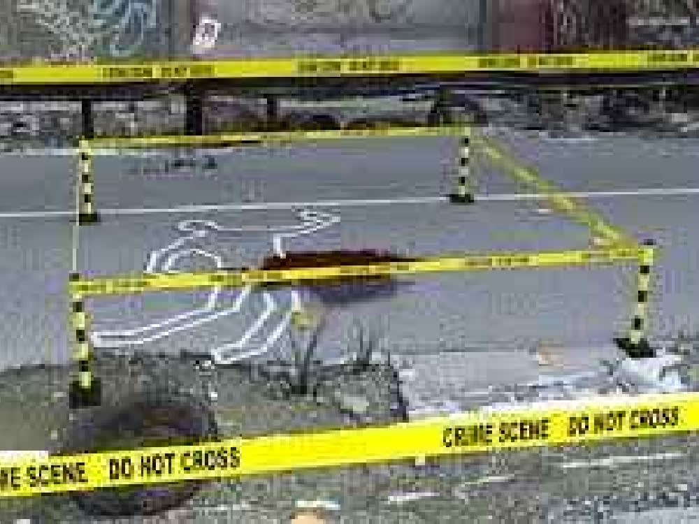 Criminal psychologist guest post hihg authority crime blogs | Upwork