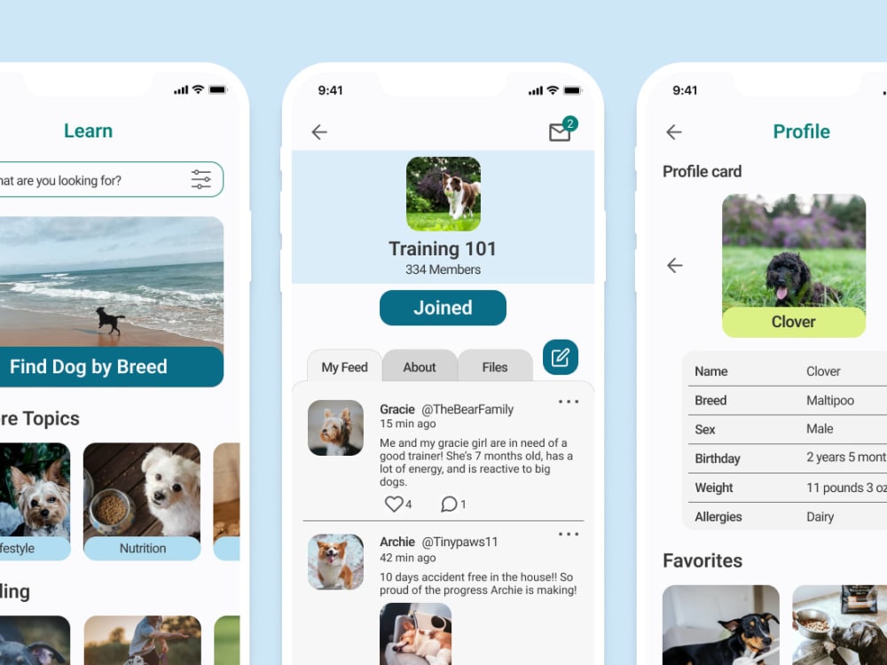 A creative, unique, and high-quality website or mobile app UX/UI design ...
