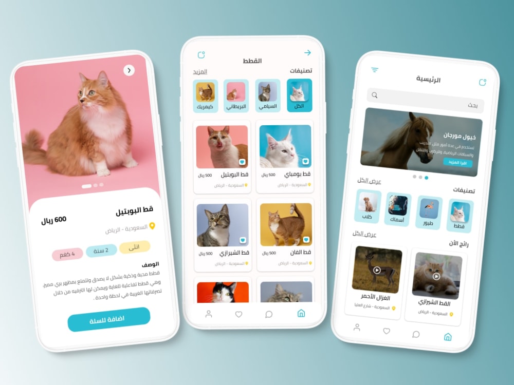 A modern, clean, and attractive ui ux for your app | Upwork