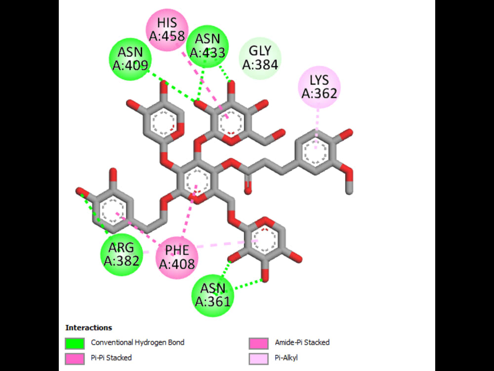 A Project On Molecular Docking And Molecular Dynamic Simulation Upwork