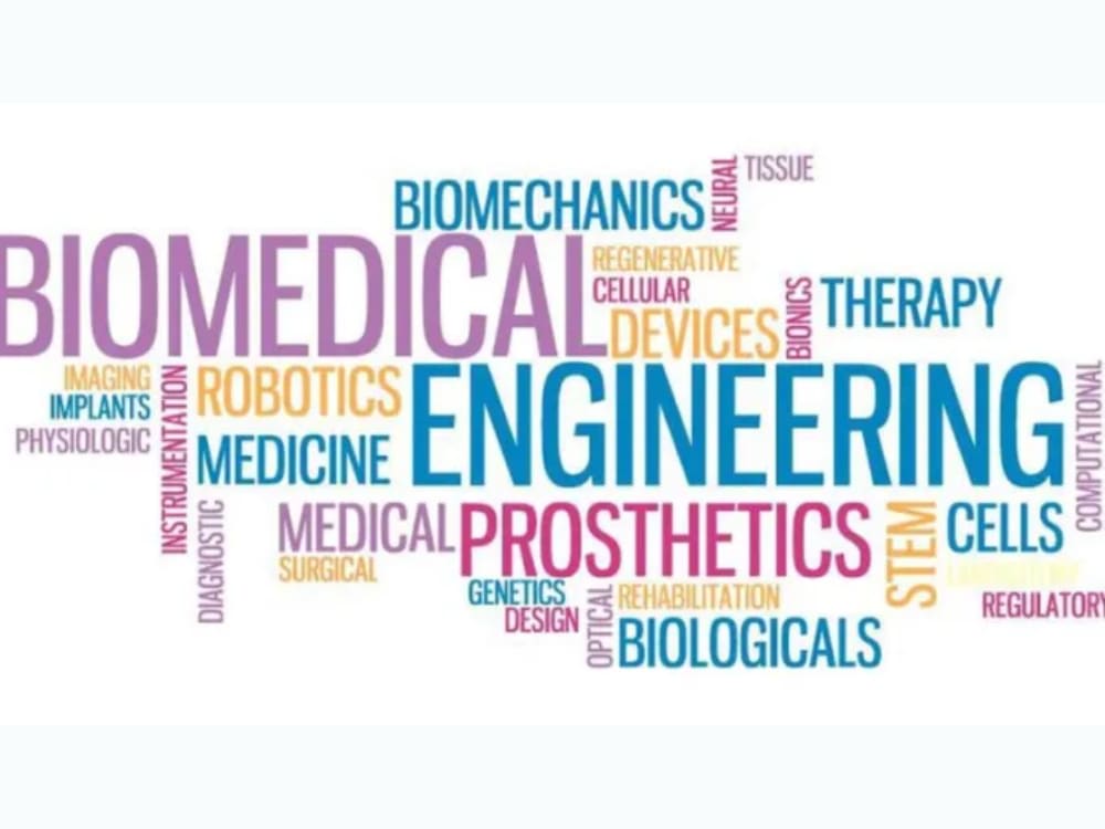 Biomedical engineering projects and tasks | Upwork
