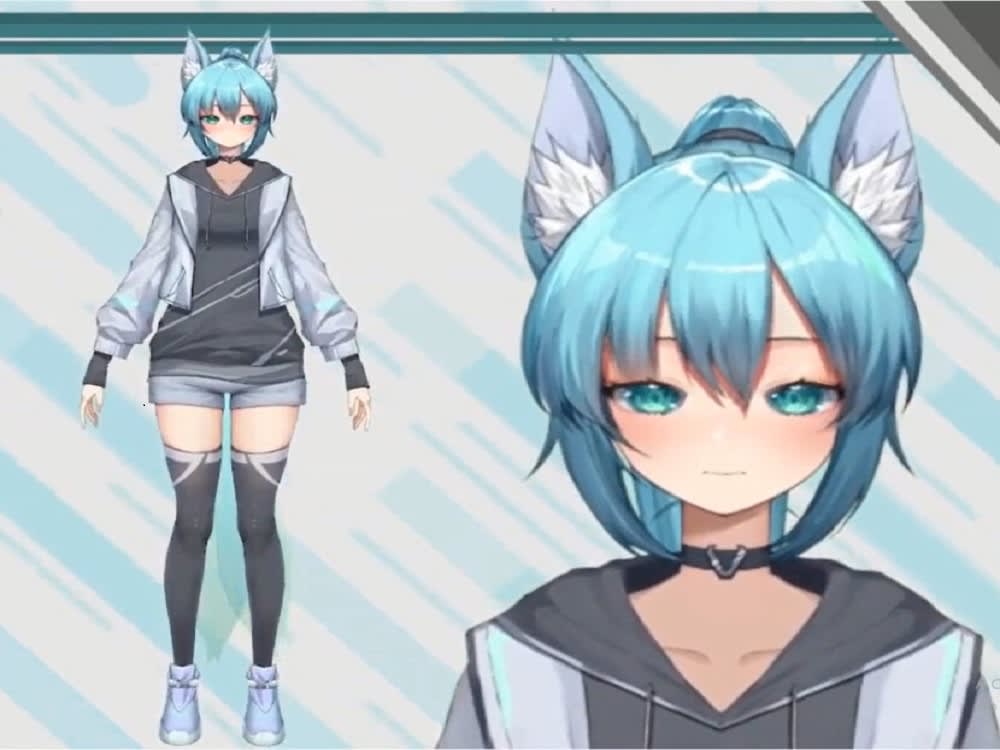 Design 2d vtuber model, vtuber rigging, live2d rigging, vtuber png | Upwork