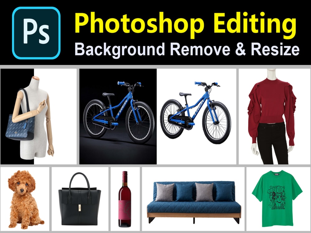 Quickly convert to vector logo or graphic, modify fix update edit your logo | Upwork