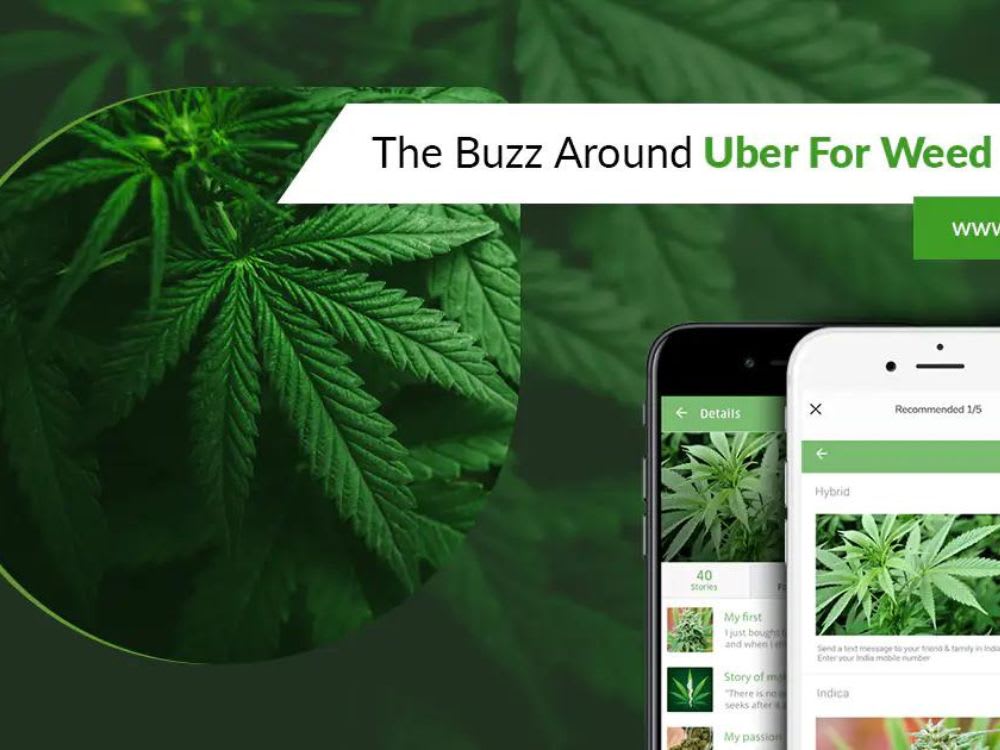 Build hemp, cannabis,weed, vape and marijuana website | Upwork