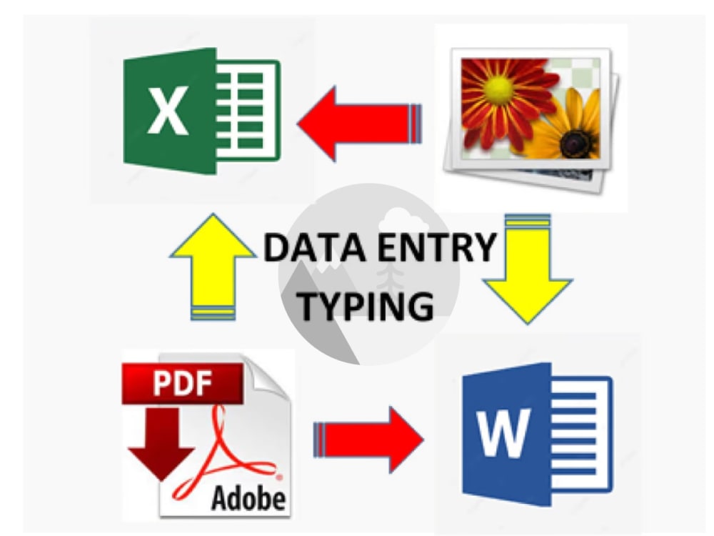 Accurate and efficient Data Entry services for your project. | Upwork
