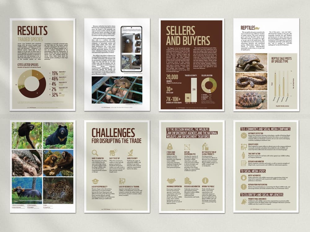 An engaging and unique custom report layout design with infographics ...