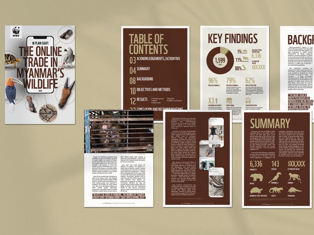 An engaging and unique custom report layout design with infographics ...