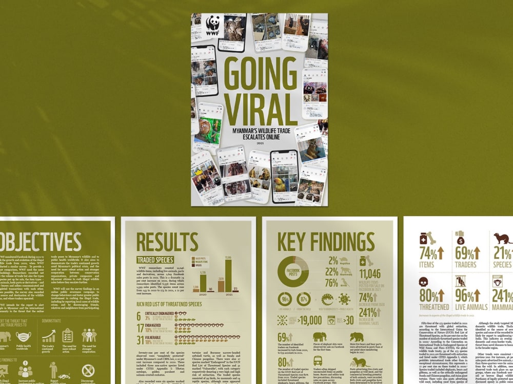 An engaging and unique custom report layout design with infographics ...