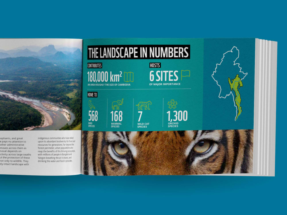 An engaging and unique custom report layout design with infographics ...