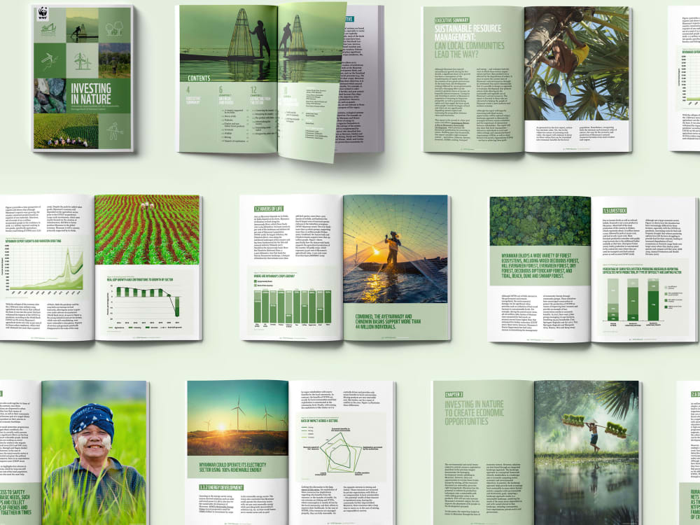 An engaging and unique custom report layout design with infographics ...