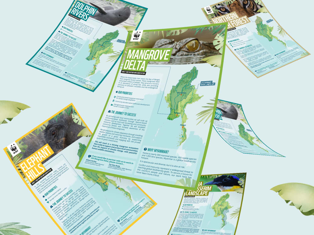 An engaging and unique custom report layout design with infographics ...