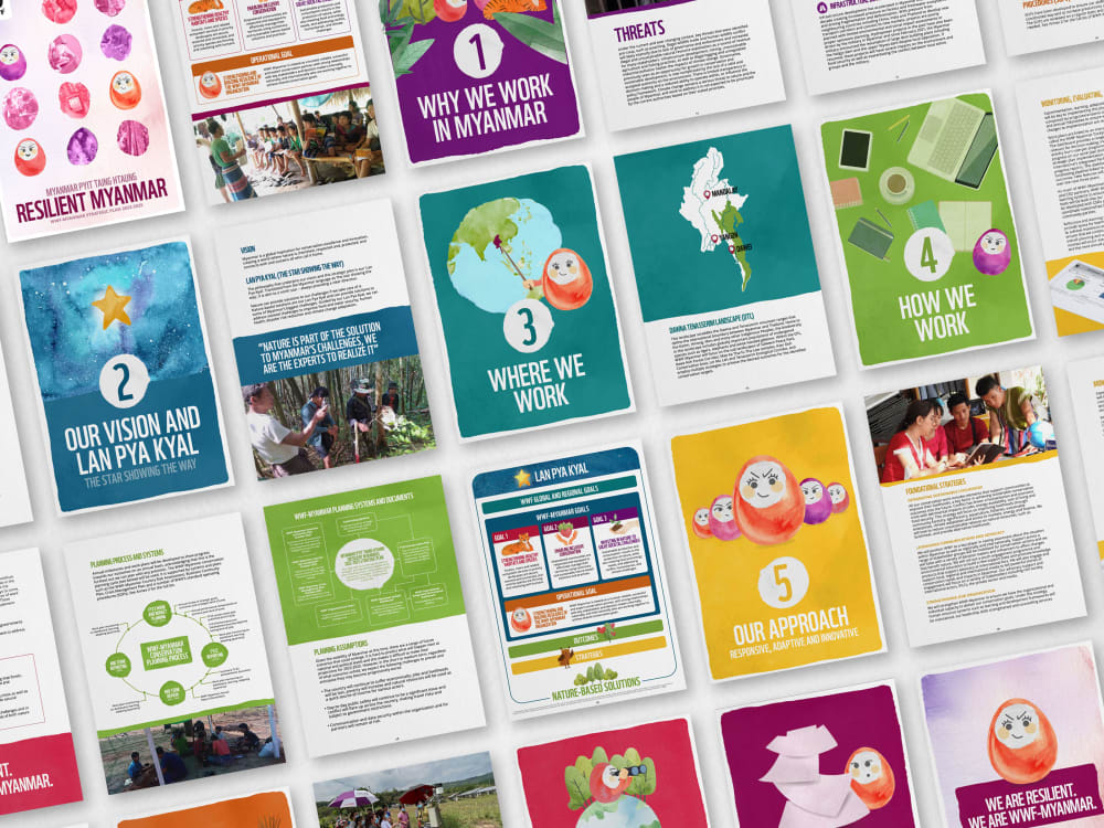 An engaging and unique custom report layout design with infographics ...