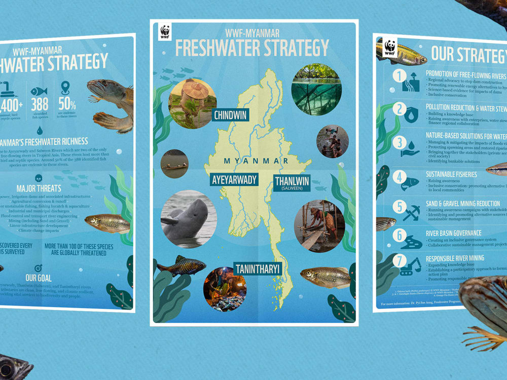 An engaging and unique custom report layout design with infographics ...