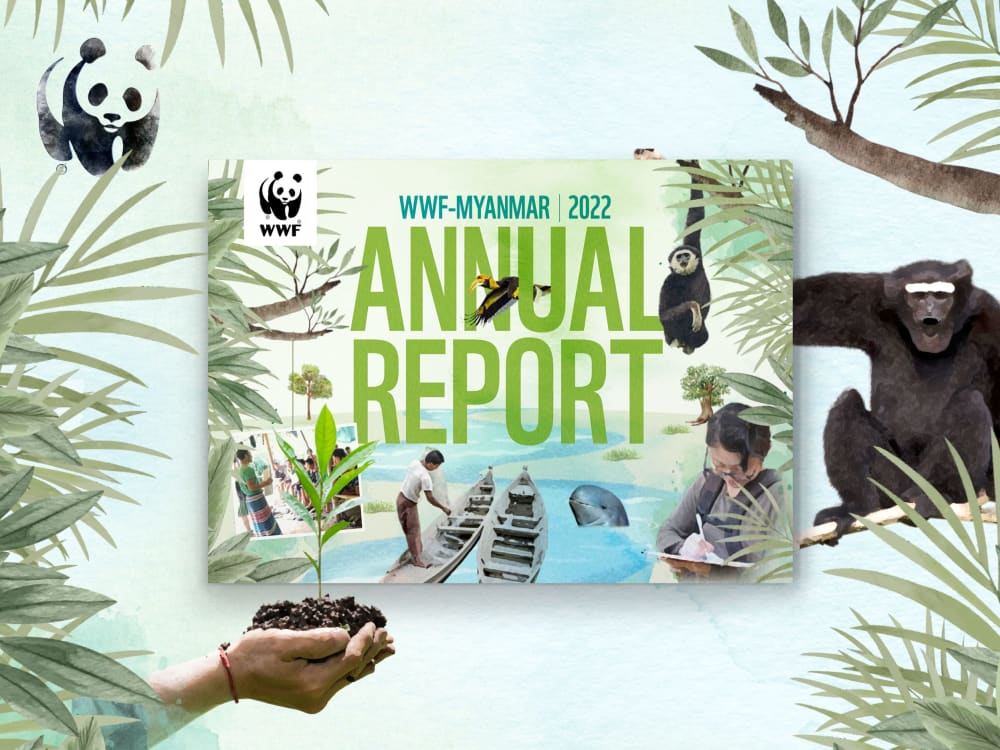 An engaging and unique custom report layout design with infographics ...