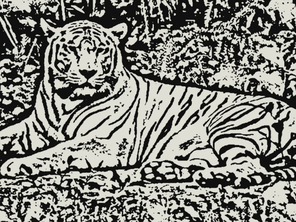 An artistic linocut illustration and vectors | Upwork