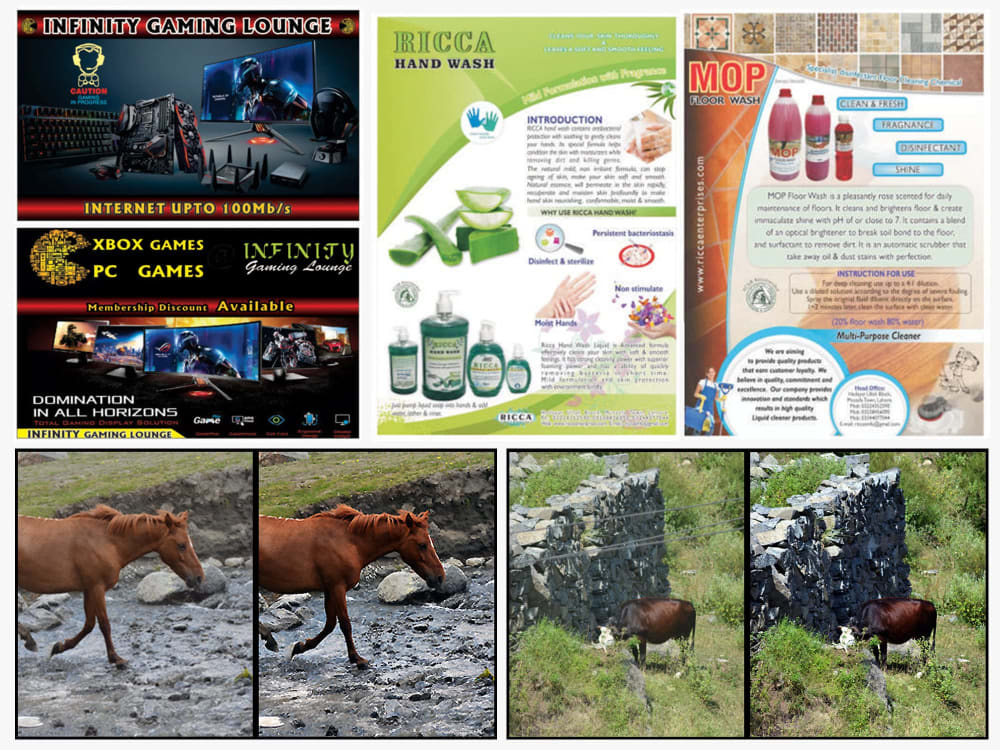 Design for Logo, Flyer, Flex, Advertisement and any social media post ...