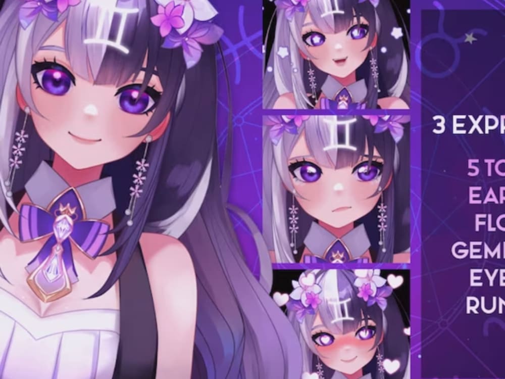 Design and rig 2d vtuber model, anime model, live2d model for vtube ...