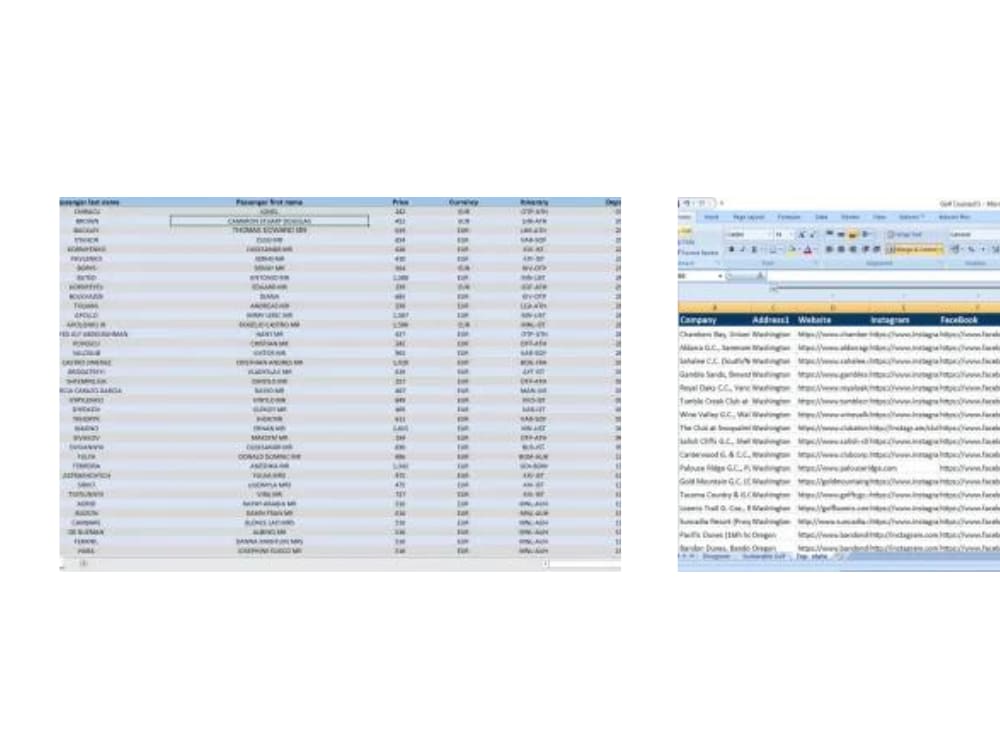 A fantrastic data entry services | Upwork