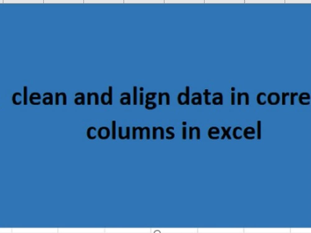 Data cleaned and aligned in correct columns in excel | Upwork