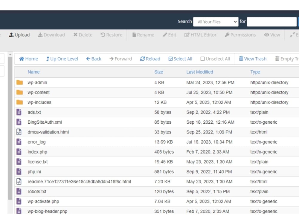 WordPress Migration, Domain migration, Backup and Restoration services | Upwork