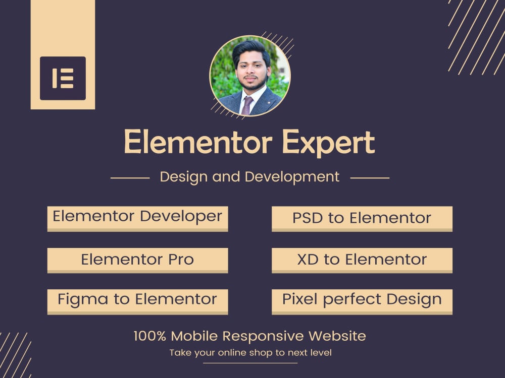Elementor Expert Elementor Developer Elementor Pro Elementor