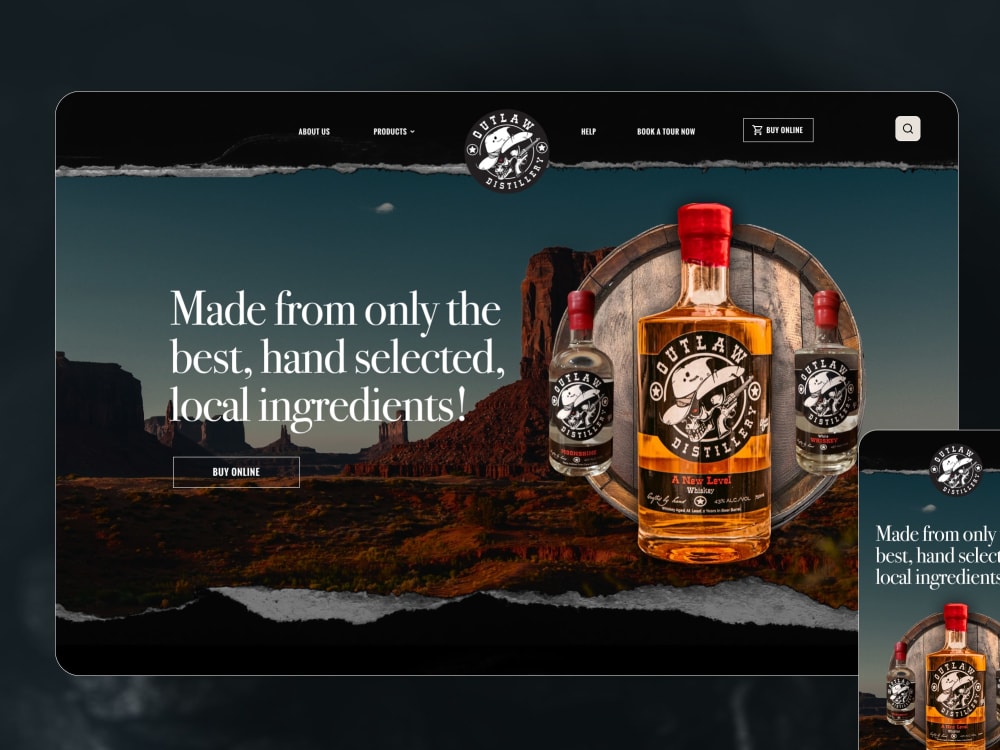 A fantastic prototype website/landing page/app proposition | Upwork