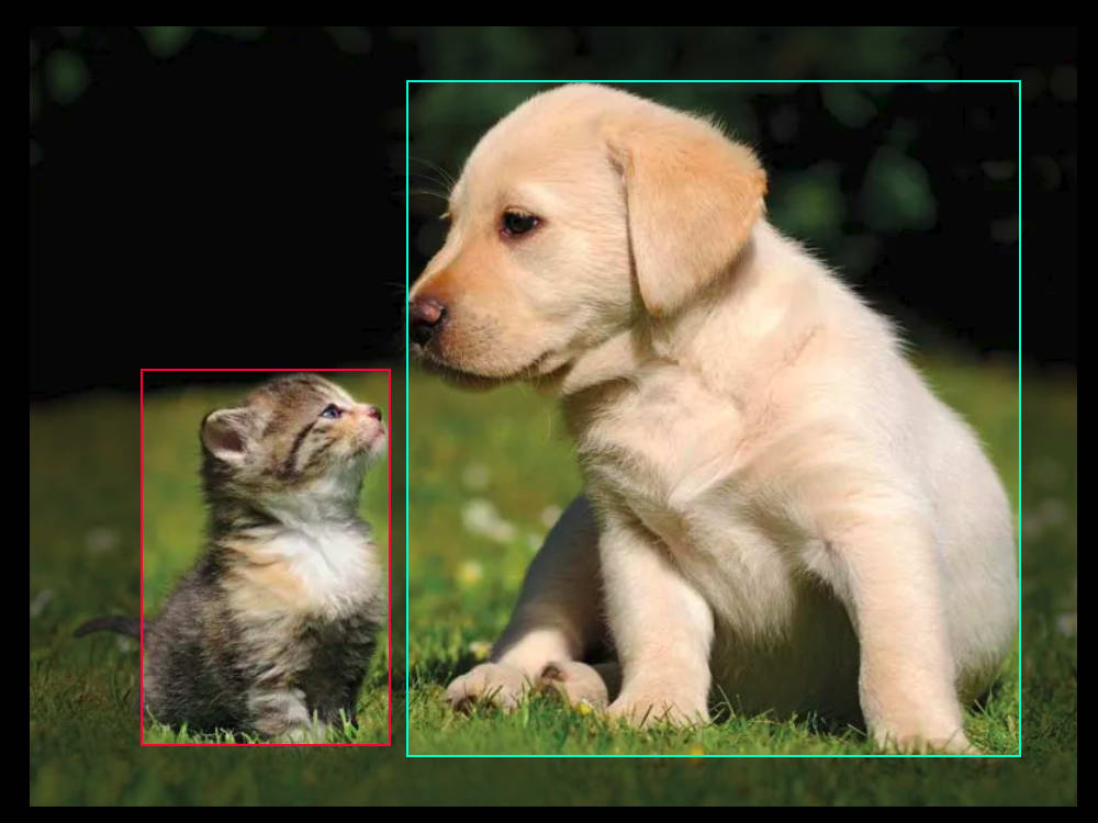 Image Annotation For Object Detection Segmentation And Classification