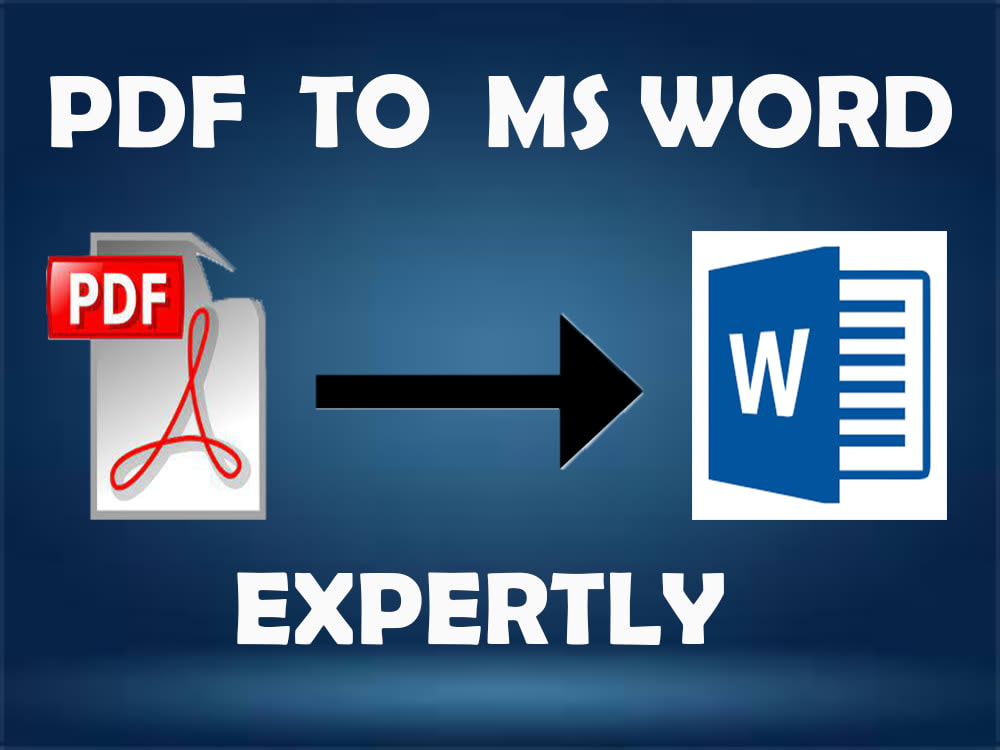 A professional pdf to Ms word | Upwork