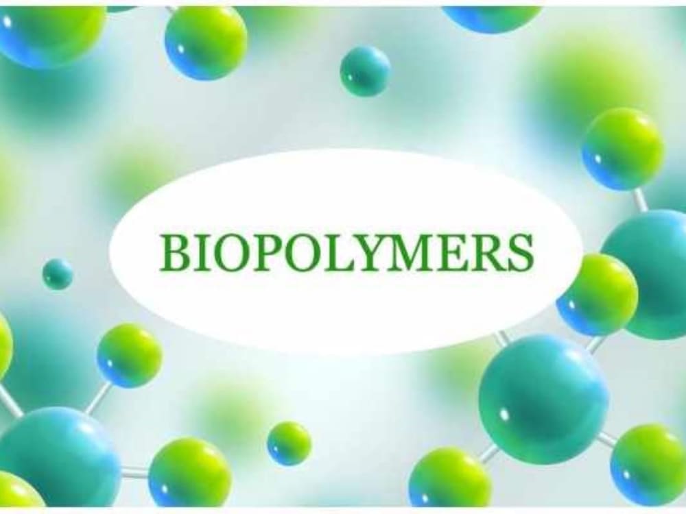 Everything you need about Biopolymers. | Upwork