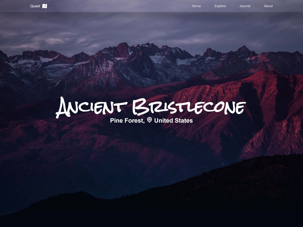 A fully functioning responsive website | Upwork