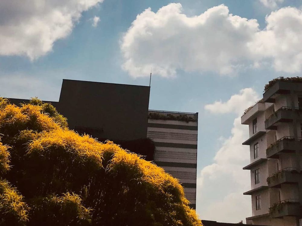 To know about | Photography | Photo editng | Local Photography | | Upwork