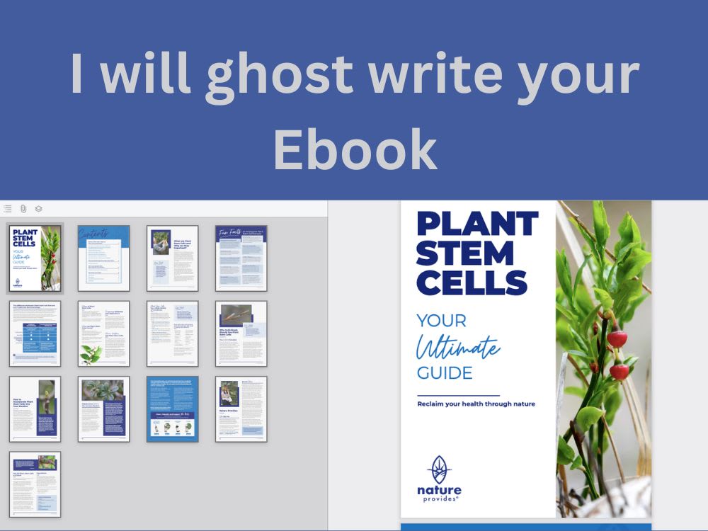 A 10k word Ebook | Upwork