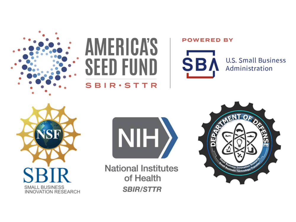 A 2-Hour consultation - Q/A, expert advice on NSF/NIH/DoD R01/SBIR/STTR ...