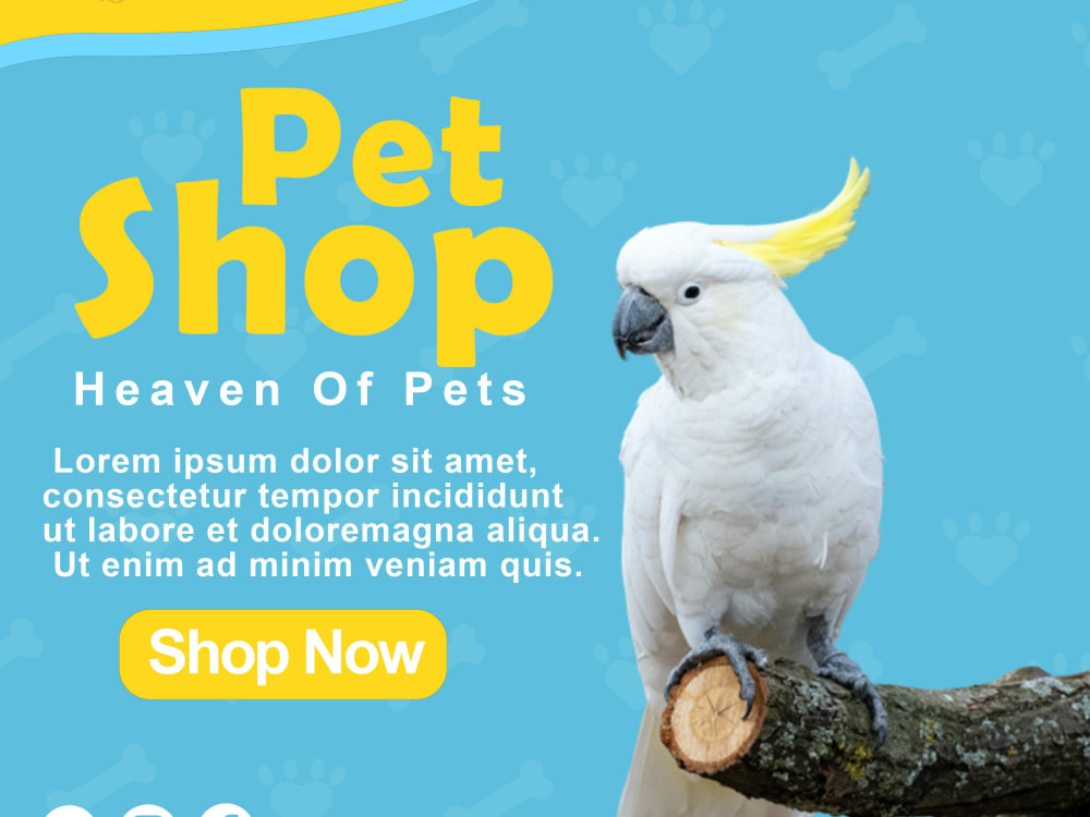 An attractive social media post/ad in just 2 days | Upwork