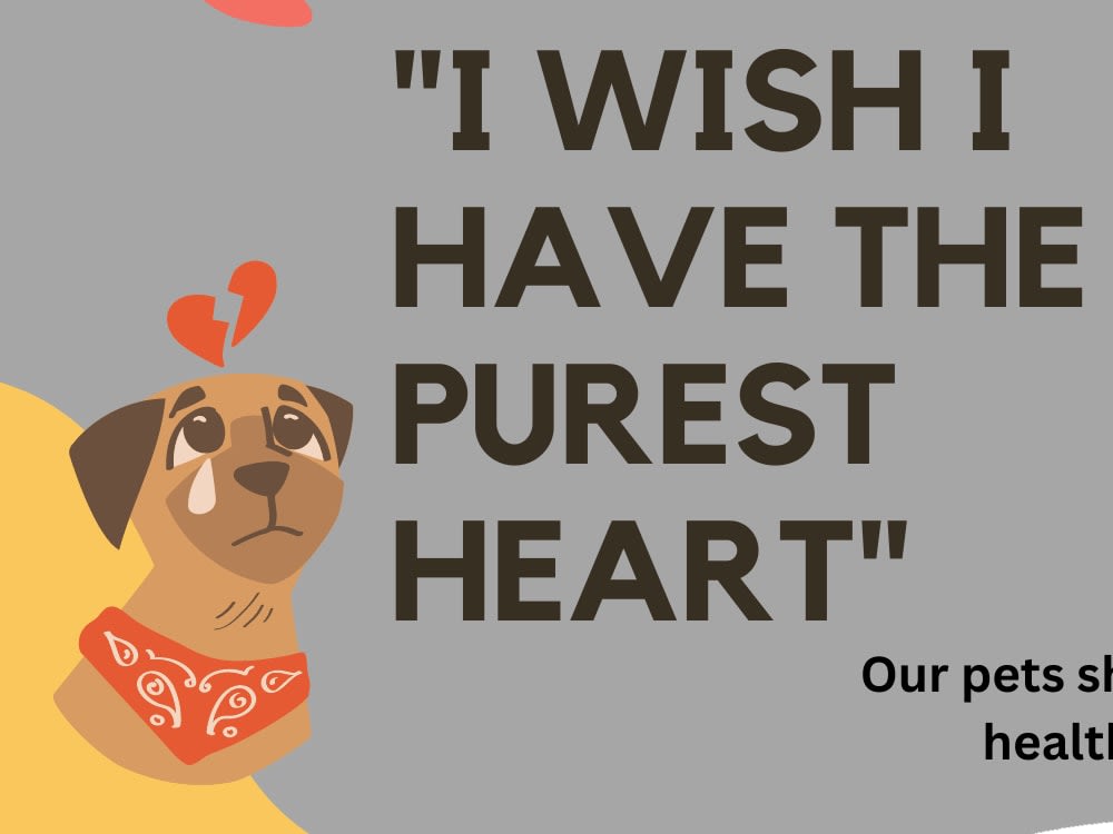 A cool and inviting logo design for your business. | Upwork