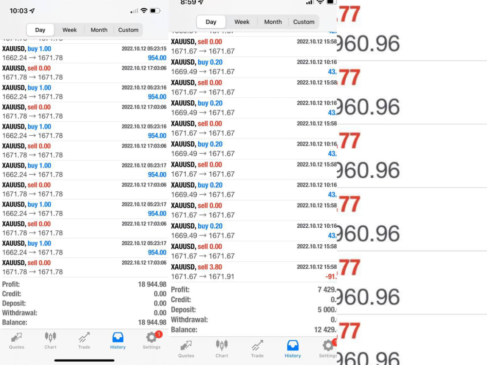 Customize Forex EA Bot, Forex Autopilot Trading EA Bot | Upwork