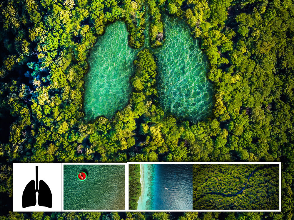 An amazing image manipulated Artwork/Oil Painting | Upwork